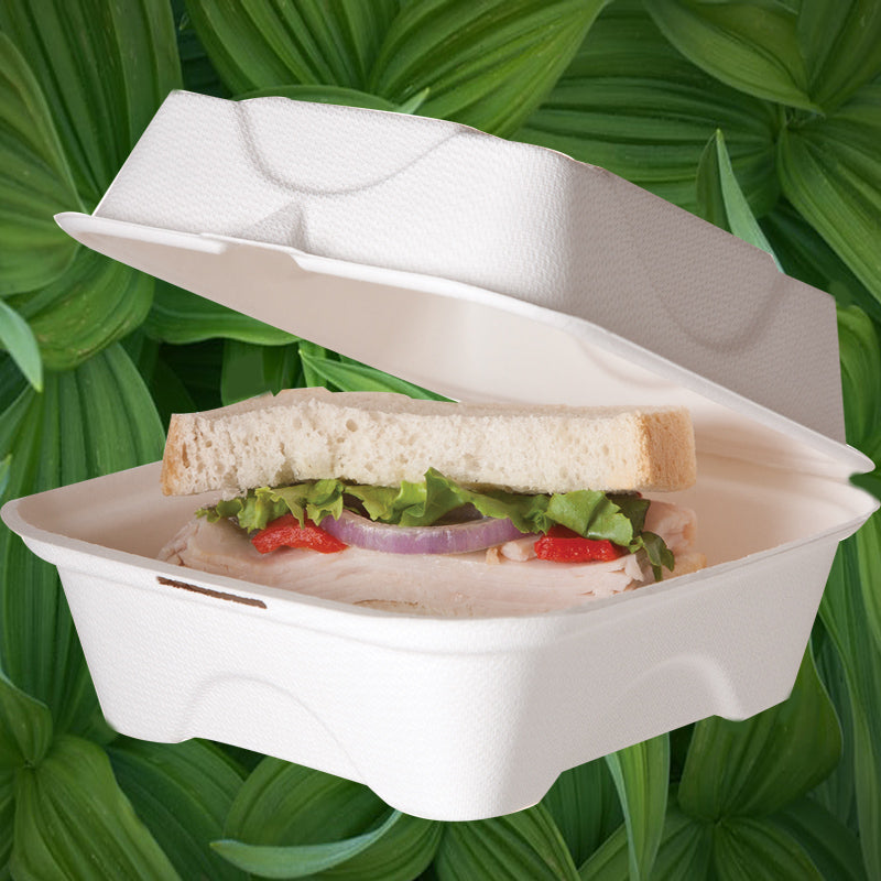 Biodegradable Bagasse Burger Boxes | GM Packaging – GM Packaging (UK) Ltd